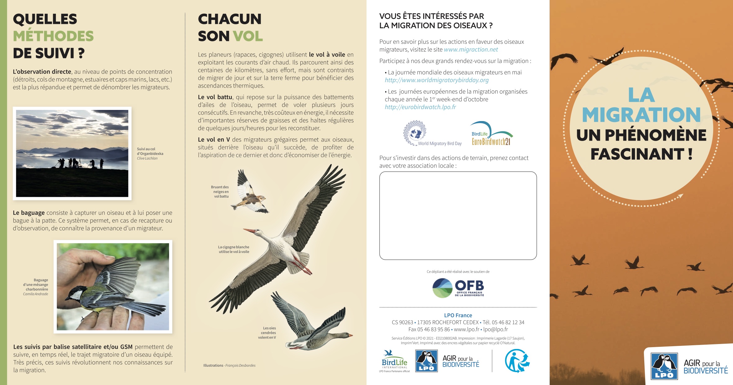 La migration - LPO (Ligue pour la Protection des Oiseaux) - Agir pour ...