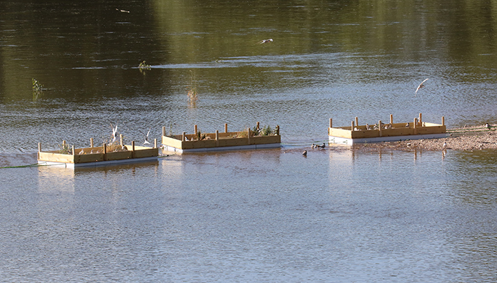 Accueil LPO.fr - LPO (Ligue pour la Protection des Oiseaux)