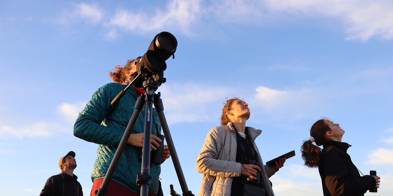 Découverte de la migration - LPO (Ligue pour la Protection des Oiseaux ...