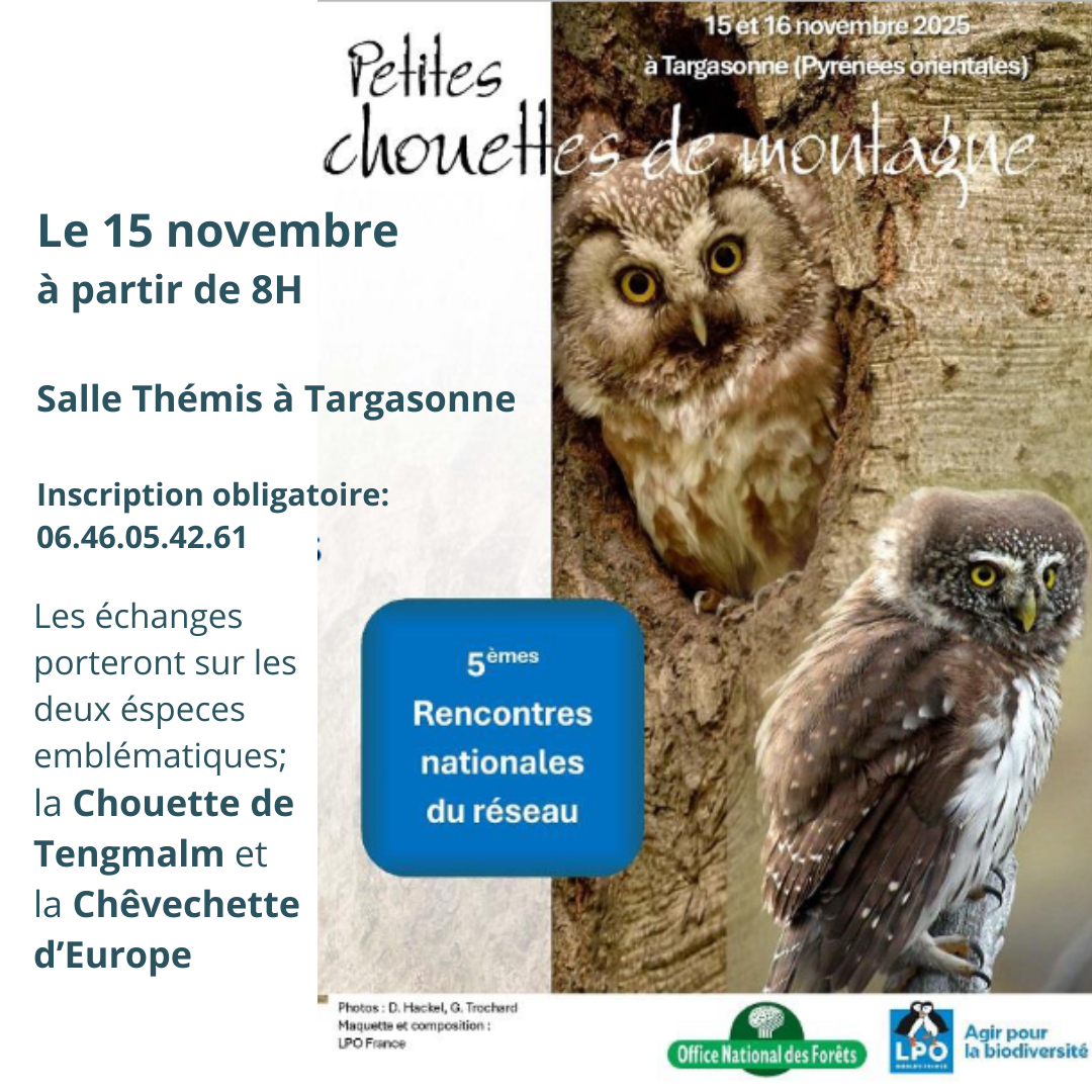 Rencontre nationale les petites chouettes de montagne - LPO (Ligue pour ...