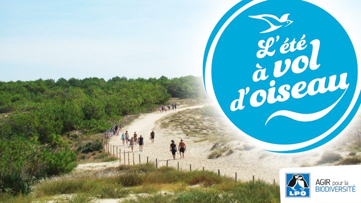 Agenda nature - LPO (Ligue pour la Protection des Oiseaux) Agenda nature - LPO (Ligue pour la Protection des Oiseaux)
