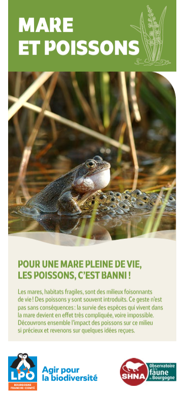 La semaine des mares - LPO (Ligue pour la Protection des Oiseaux ...