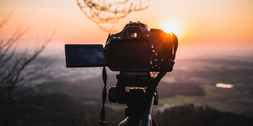 Manifeste pour une pratique éthique de la photographie de nature - LPO ...