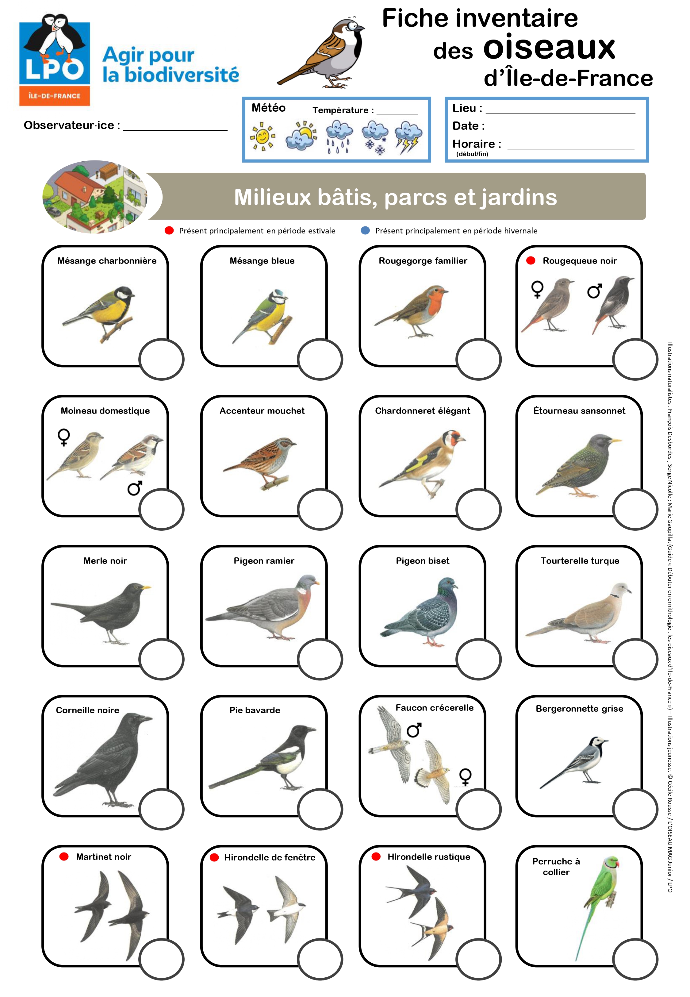 Fiche inventaire des oiseaux - LPO (Ligue pour la Protection des ...