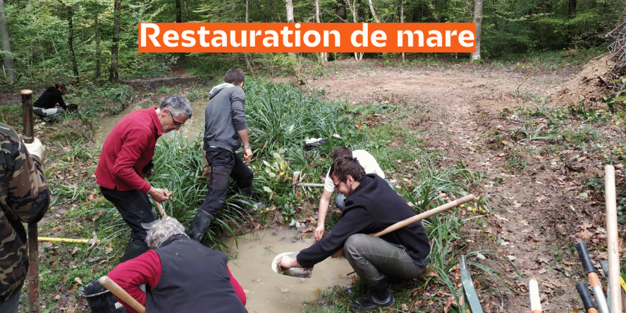 Restauration d'une mare de 1 000 m² : aidez nous à sauver grenouilles ...