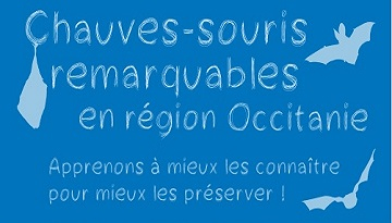 Un nouveau poster sur les chauves-souris remarquables de la région ...