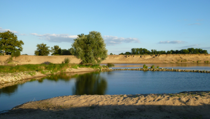 Reconnaissance des oiseaux de la Loire - LPO (Ligue pour la Protection ...