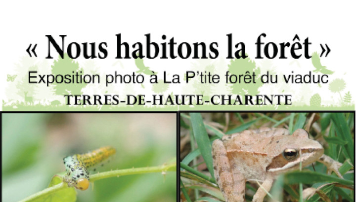 Nous habitons la forêt - LPO (Ligue pour la Protection des Oiseaux ...