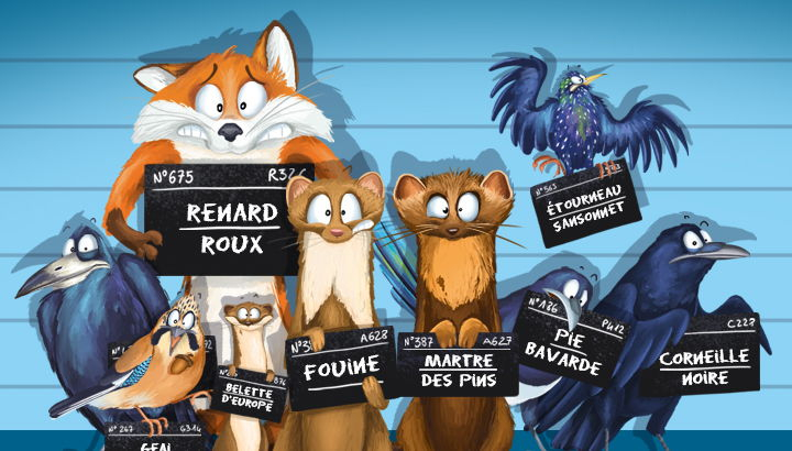 Dites STOP aux ESOD ! - LPO (Ligue pour la Protection des Oiseaux ...