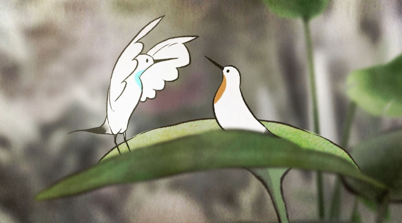 Piro Piro - LPO (Ligue pour la Protection des Oiseaux) - Agir pour la ...