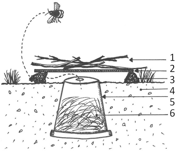 Bourdon terrestre - LPO (Ligue pour la Protection des Oiseaux) - Agir ...